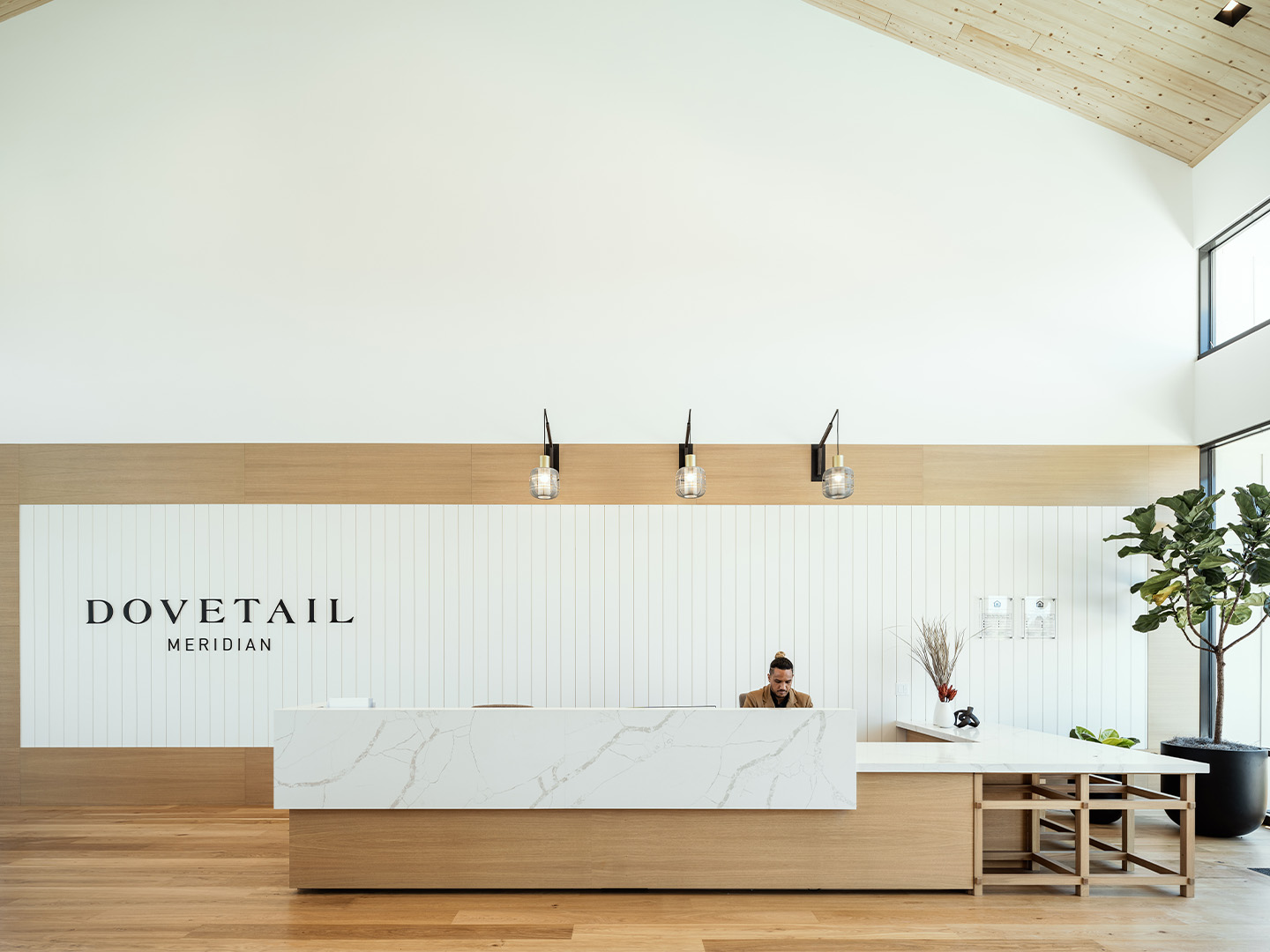 Dovetail Meridian - Pivot North Architecture