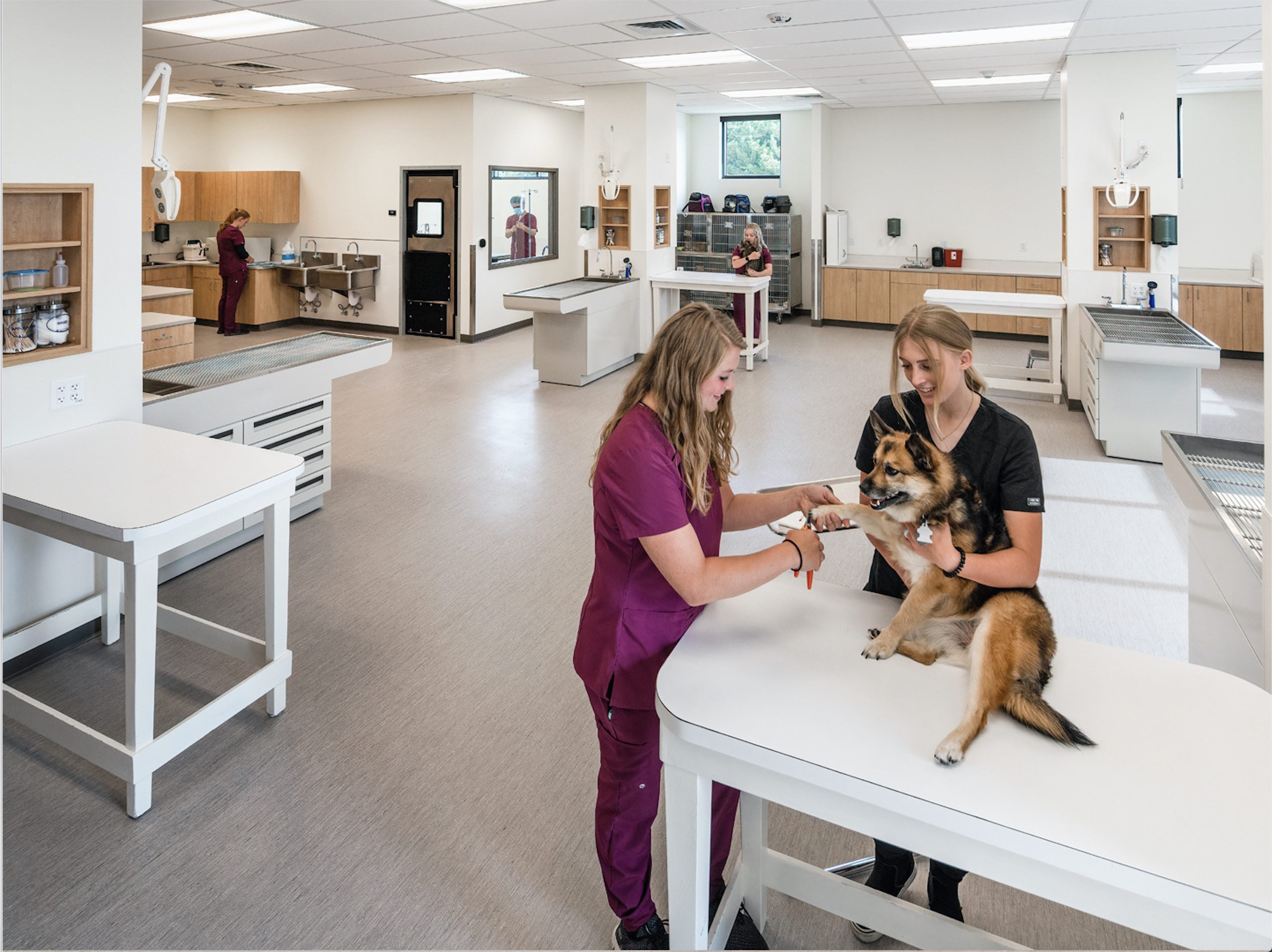 CSI Vet Tech Building - Pivot North Architecture